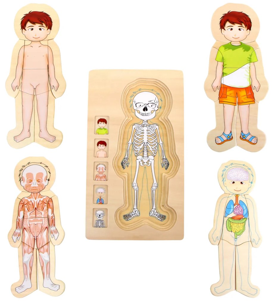 small foot Dřevěné hračky puzzle anatomie Tim
