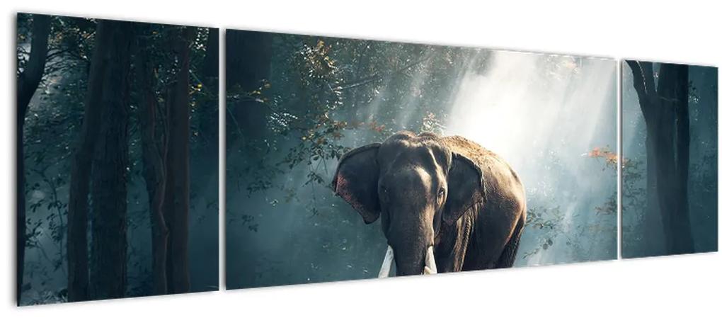 Obraz slona v džungli (170x50 cm), 40 dalších rozměrů