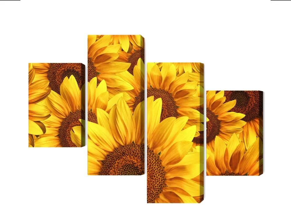 Vícedílný obraz 3D Květy Slunečnice Nedostatek Nedostatek Plátno Canvas 160x100