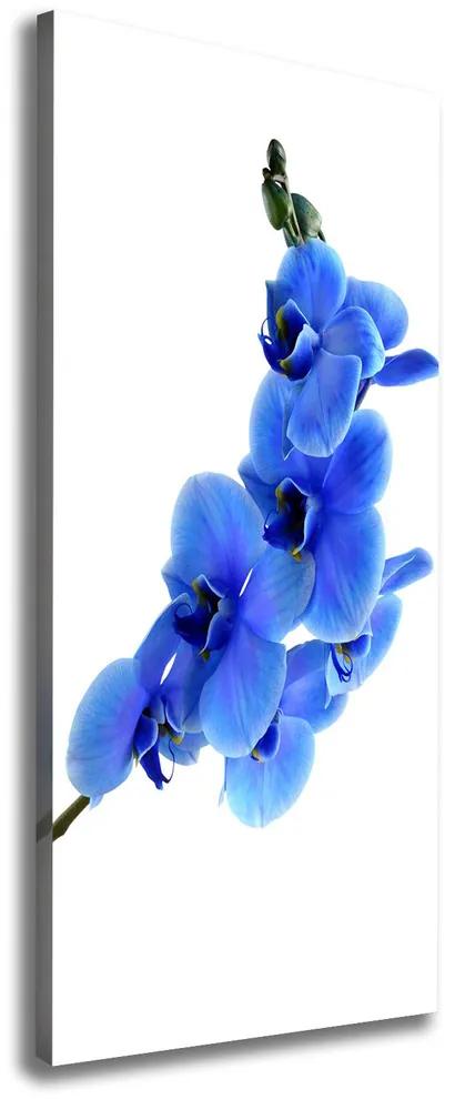 Wallmuralia Foto obraz na plátně Modrá orchidej 50x125 cm