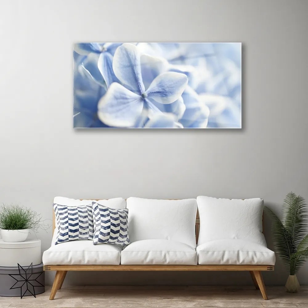 Plexisklo-obraz Květiny Plátky Příroda 100x50 cm