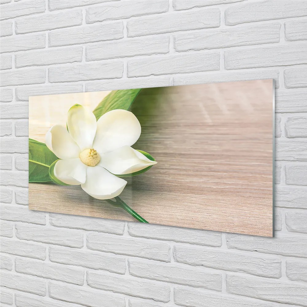 akrylový obraz bílá magnólie 125x50 cm