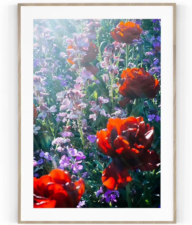 Plakát / Obraz Tulipa Pololesklý saténový papír 210 g/m² A4 - 21 x 29,7 cm