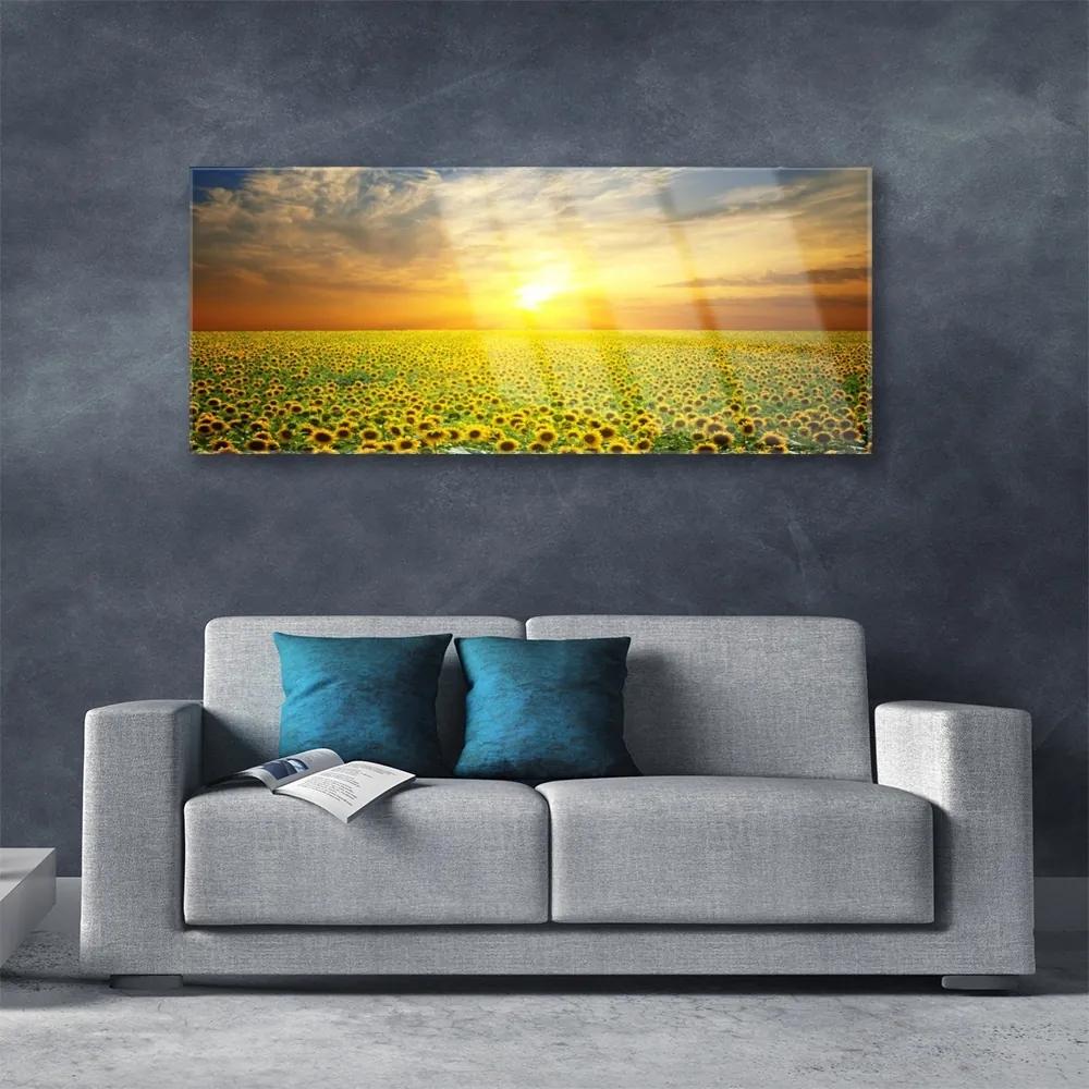 akrylový obraz Slunce Louka Slunečnice 125x50 cm