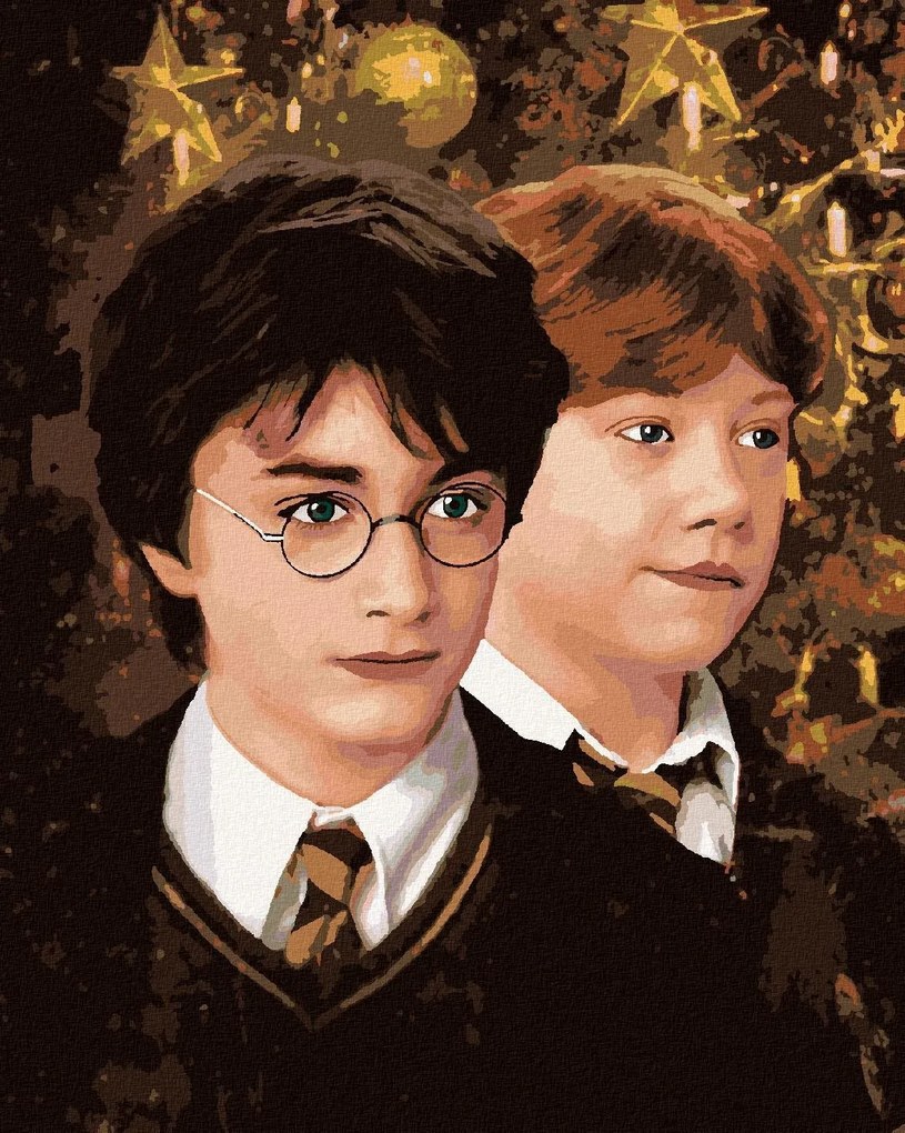 zuty zuty - malování podle čísel - harry potter a ron weasley vánoce, 40x50 cm, plátno