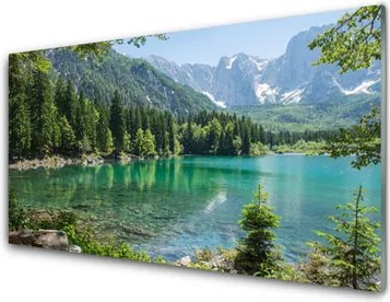 Nástěnný obraz Tištěný na skle Hory Jezero Les Příroda 120x60