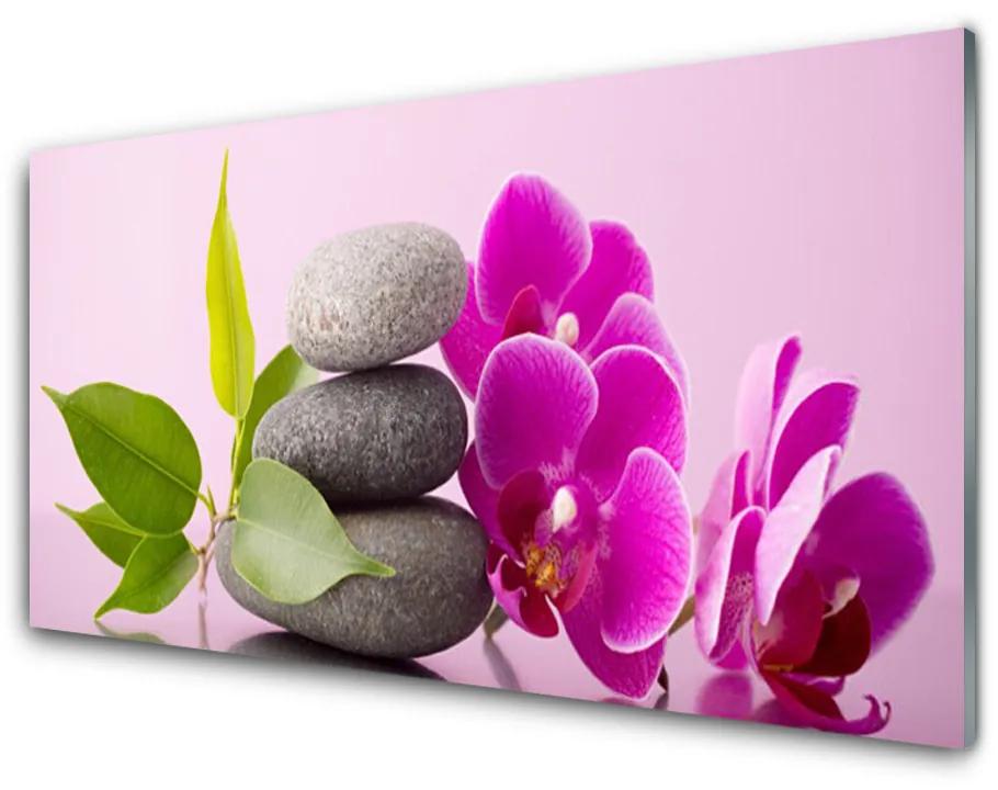 akrylový obraz Orchidej Vstavač Kameny 100x50 cm