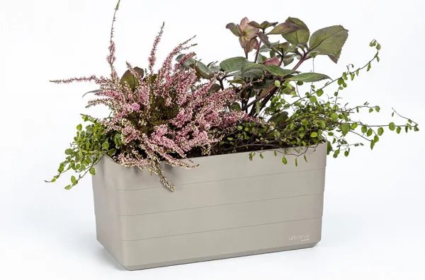 Samozavlažovací truhlík Berberis taupe/slonová kost 40 cm