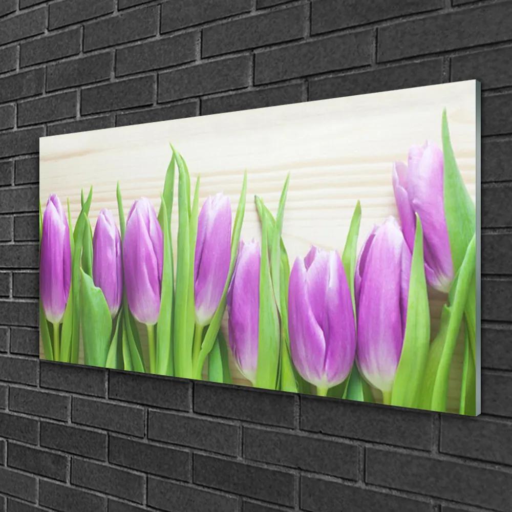 Obraz na skle Tulipány Květiny Příroda 140x70 cm