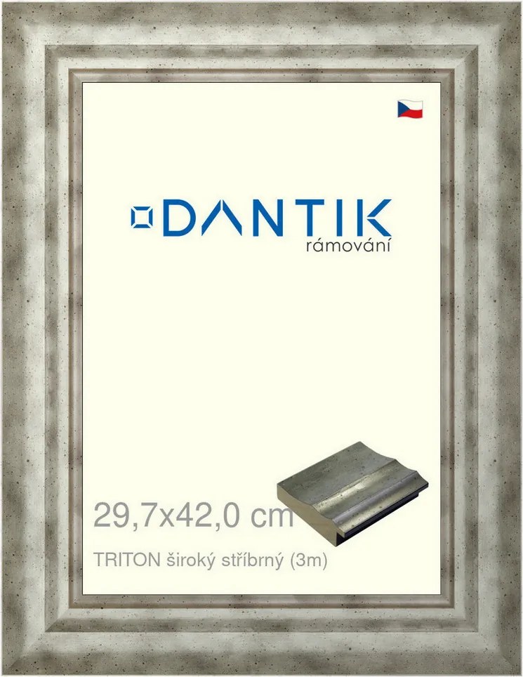 DANTIK rámeček 29,7x42 | TRITON široký stříbrný (Plexi Čiré)