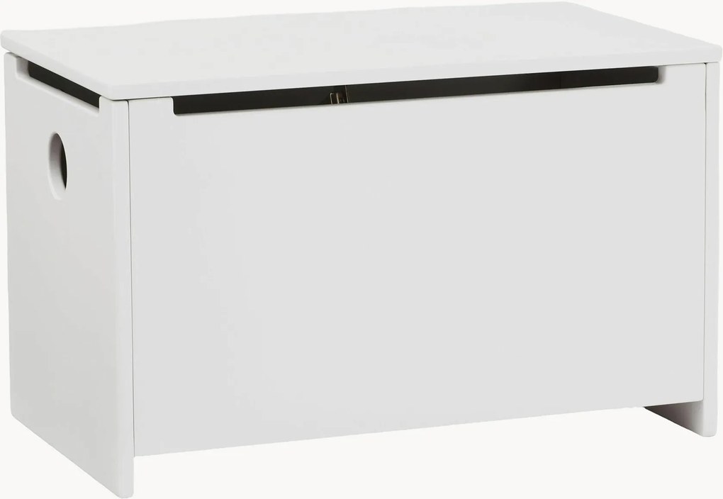 Dětský úložný box Star