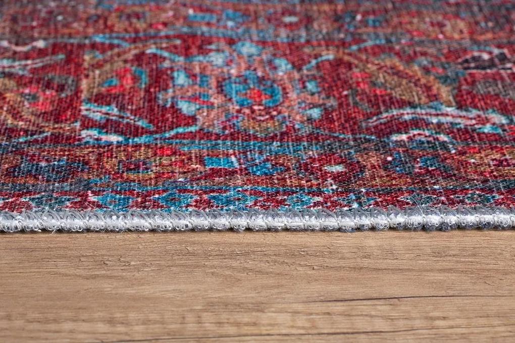 Conceptum Hypnose Kusový koberec Blues Chenille - Claret Red AL 170, Vícebarevná Rozměr koberce: 210 x 310 cm