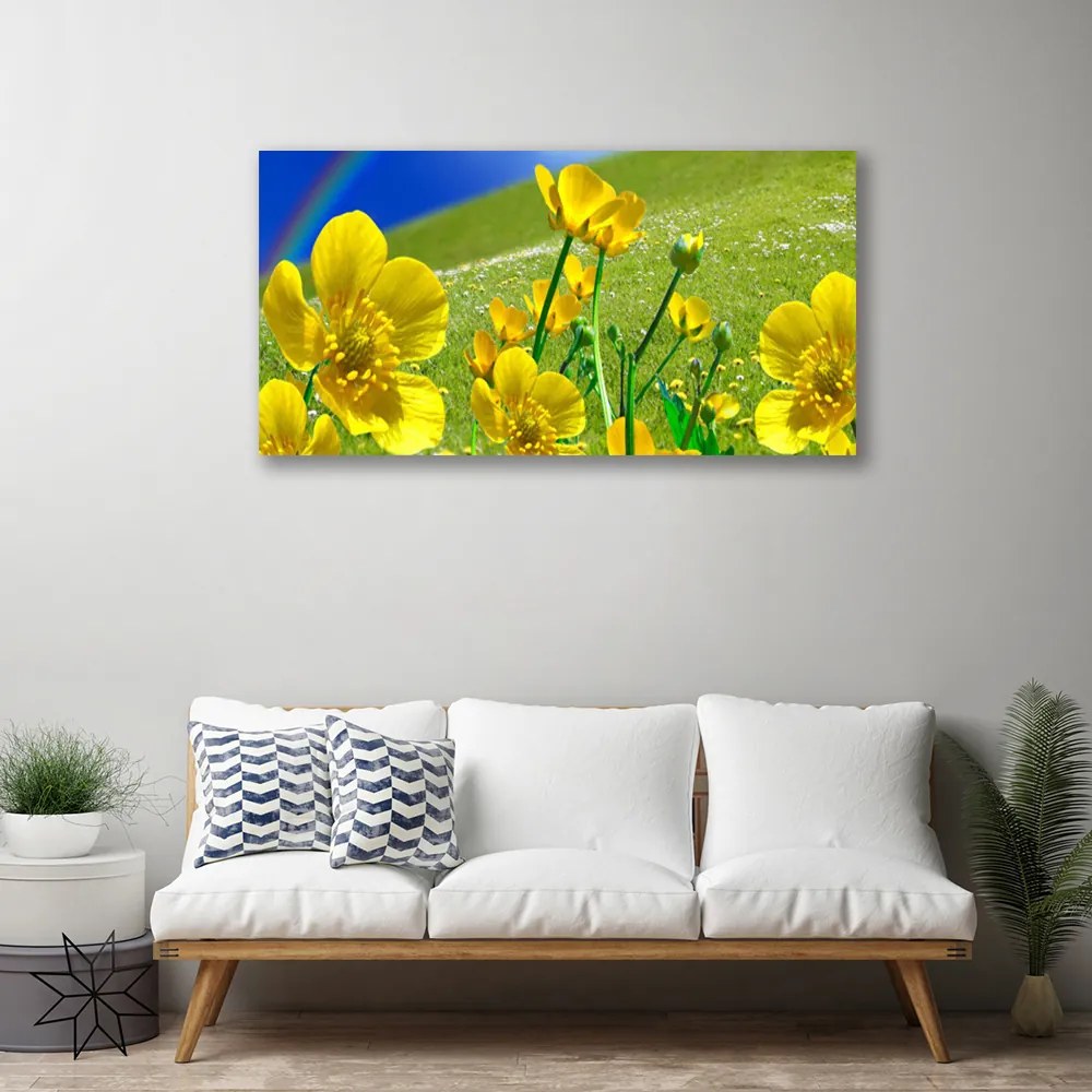 Obraz na plátně Louka Květiny Duha Příroda 140x70 cm