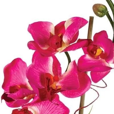 Růžová orchidej v skleněné váze, domácí dekorace, výška 37 cm