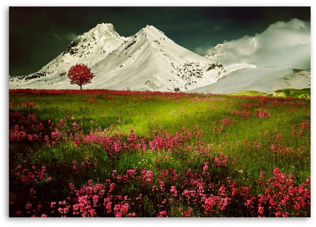 Obraz na plátně Horská krajina Příroda - 60x40 cm