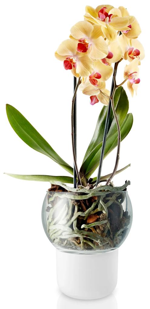 Eva Solo Květináč na orchideje