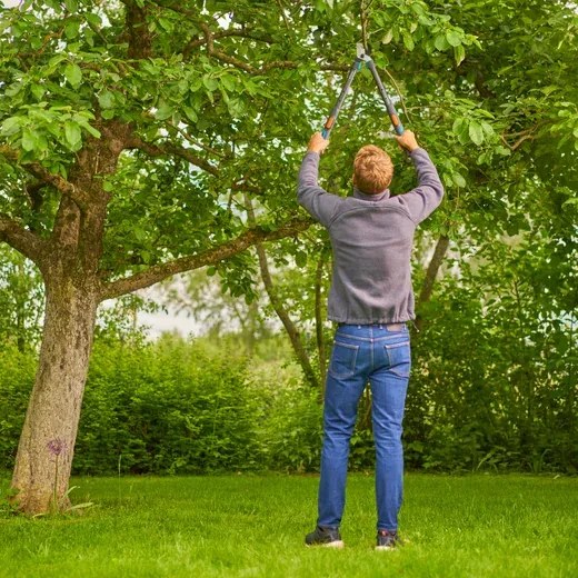 © 2026 GARDENA Dvoubřité nůžky na větve TeleCut Pro S, teleskopické nůžky na čerstvé dřevo