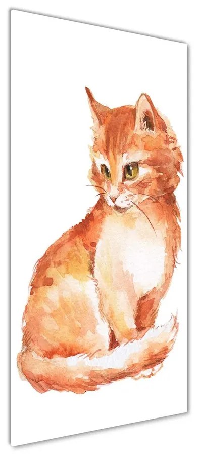 Wallmuralia Foto obraz akrylový Červená kočka 50x125 cm
