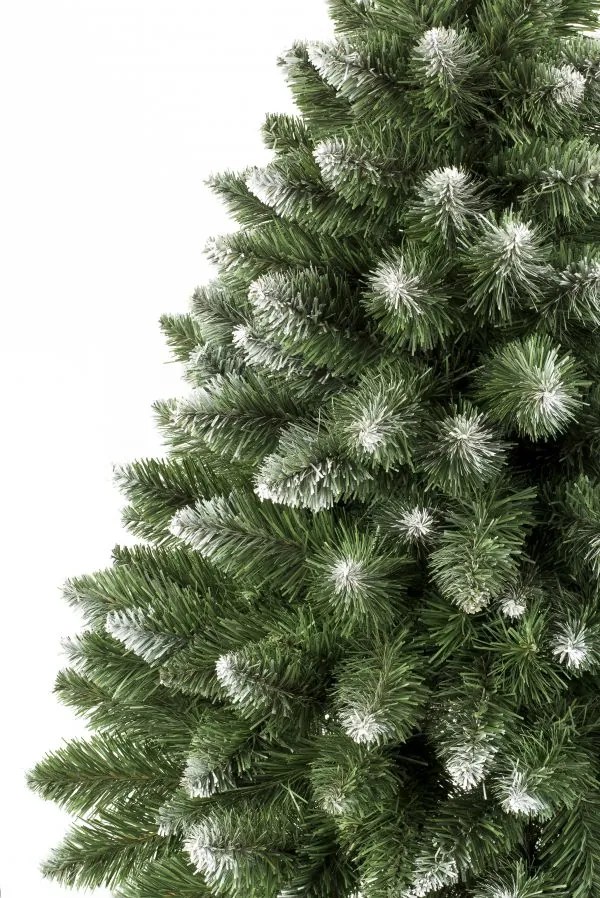 Vánoční stromek Borovice diamantová 100cm