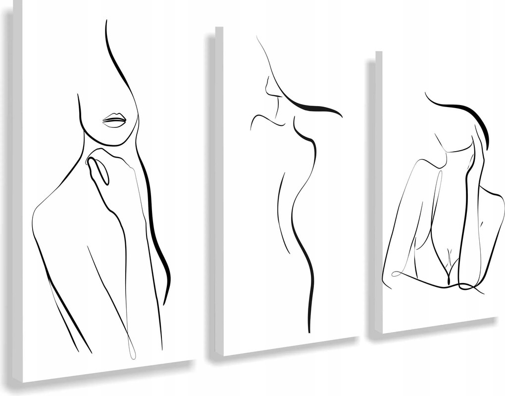 Obraz na zeď Triptych do obývacího pokoje Line art žena tvář bílá černá 60x120