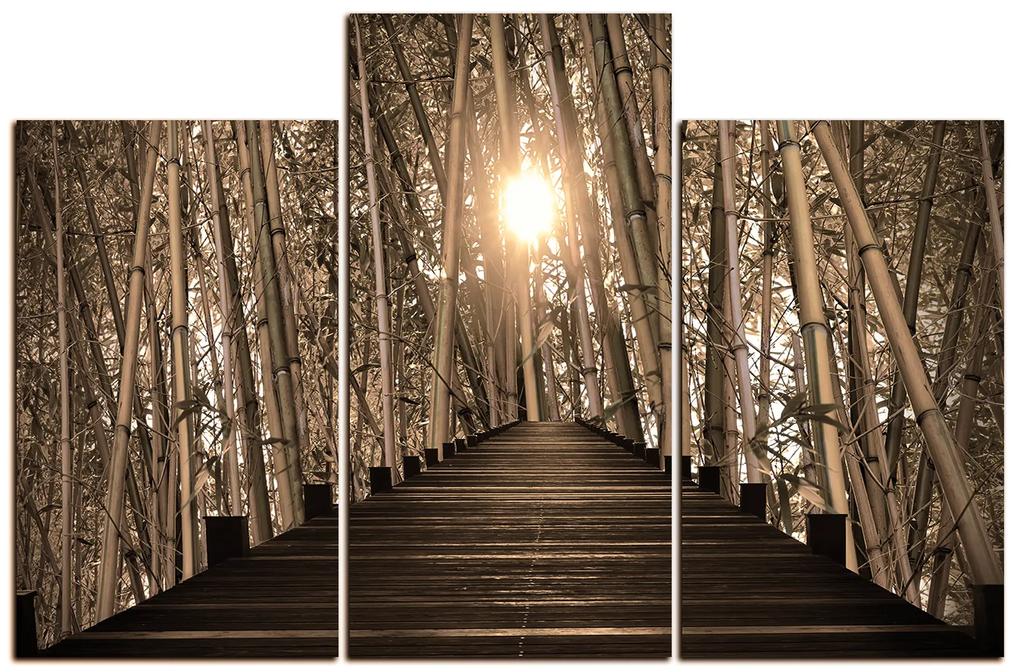 Obraz na plátně - Dřevěná promenáda v bambusovém lese 1172FD (105x70 cm)