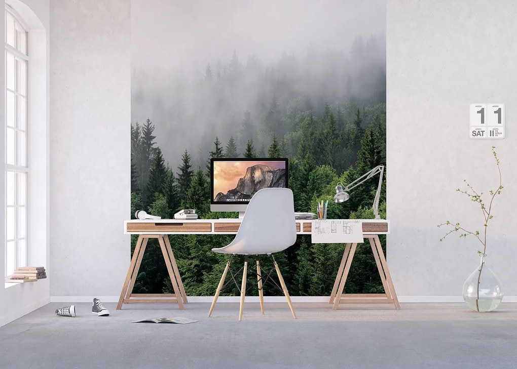 Vliesová fototapeta na zed' Les v Ranní Mlze | 225 x 270 cm | DFT3P5901