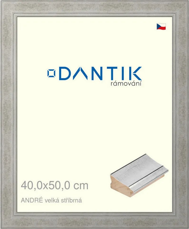 DANTIK rámeček 40x50 | ANDRÉ velká stříbrná (Plexi Čiré)