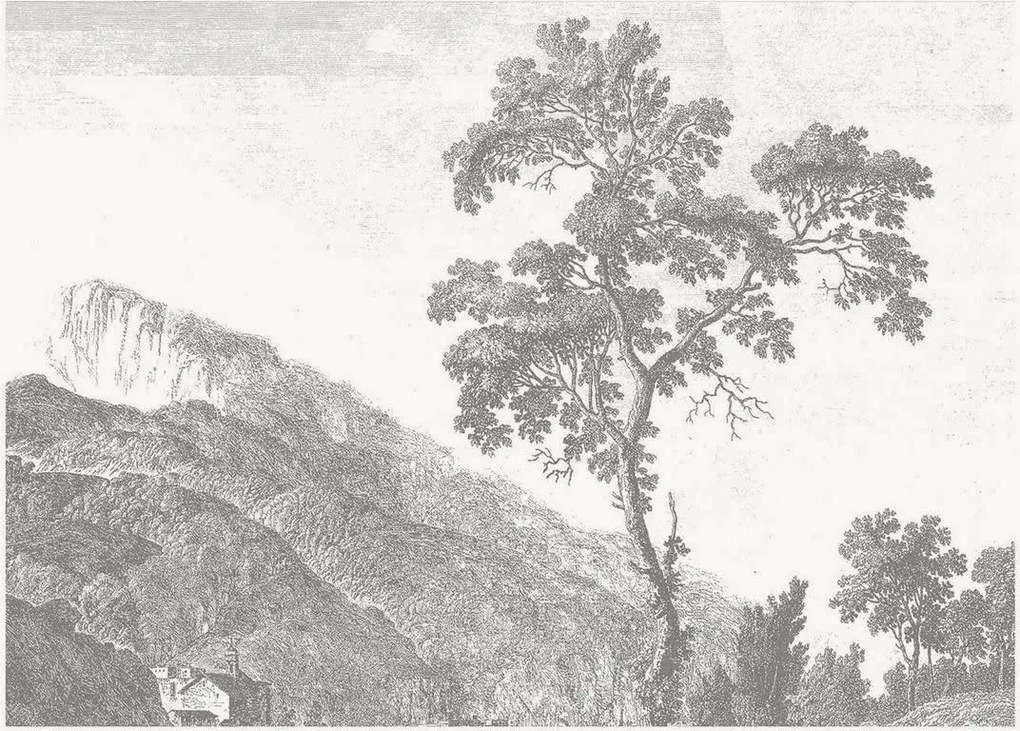 Tapeta Engraved Landscapes I
