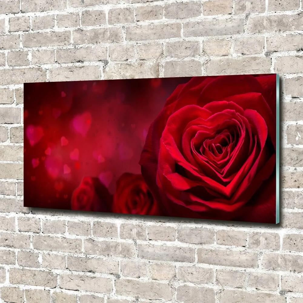 Wallmuralia Foto obraz skleněný horizontální Červená růže srdce 140x70 cm