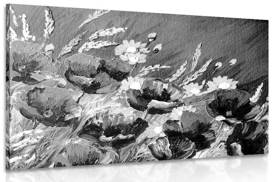 Obraz malované polní máky v černobílém provedení