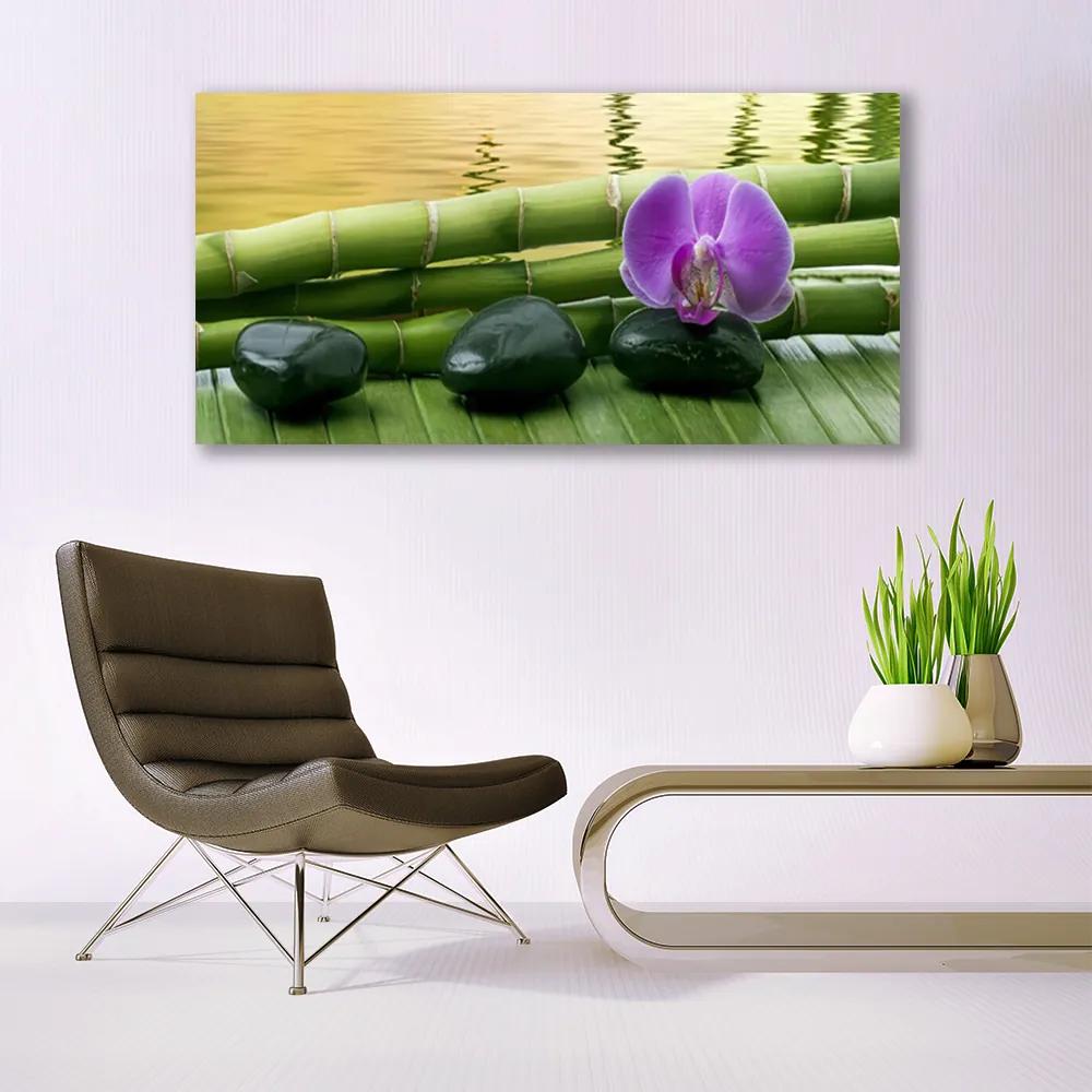 akrylový obraz Květ Kameny Bambus Příroda 120x60 cm
