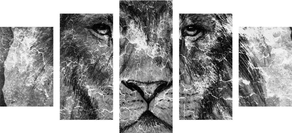 5-dílný obraz tvář lva v černobílém provedení