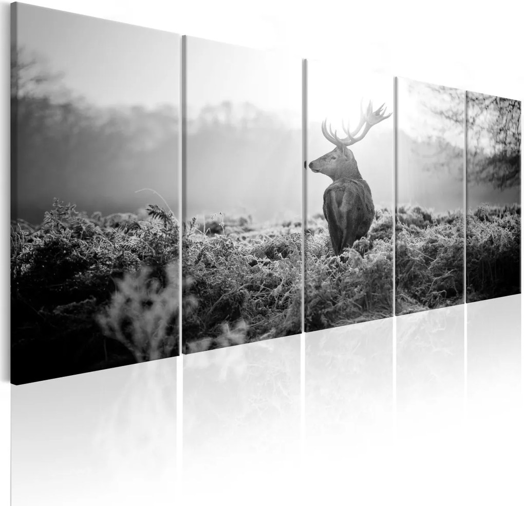 Černobílý obraz - strážce pole (225x90 cm) - Murando DeLuxe