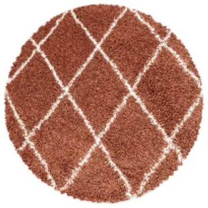 Ayyildiz koberce Kusový koberec Alvor Shaggy 3401 terra kruh - 160x160 (průměr) kruh cm