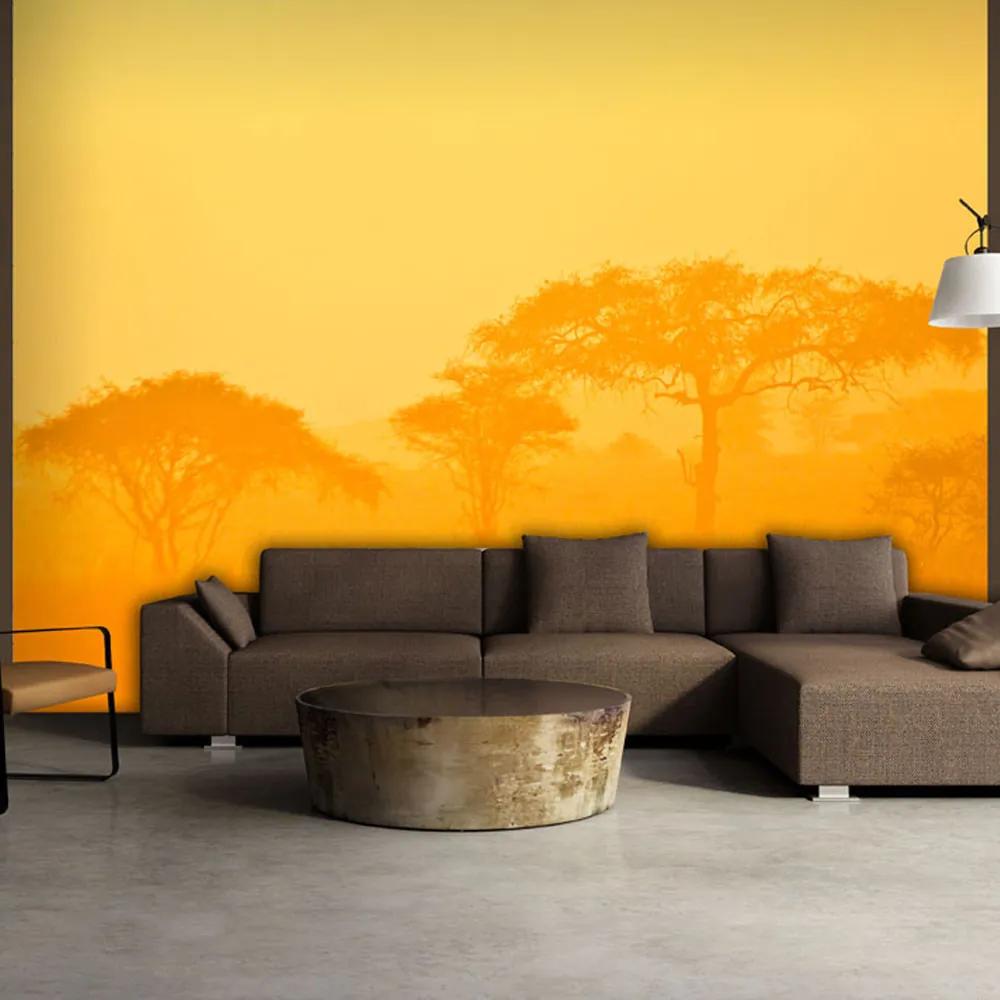 Fototapeta Bimago - Orange savanna + lepidlo zdarma 200x154 cm