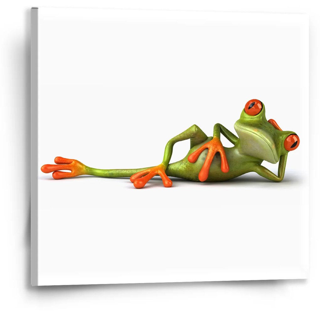 Obraz SABLIO - Ležící žába 50x50 cm