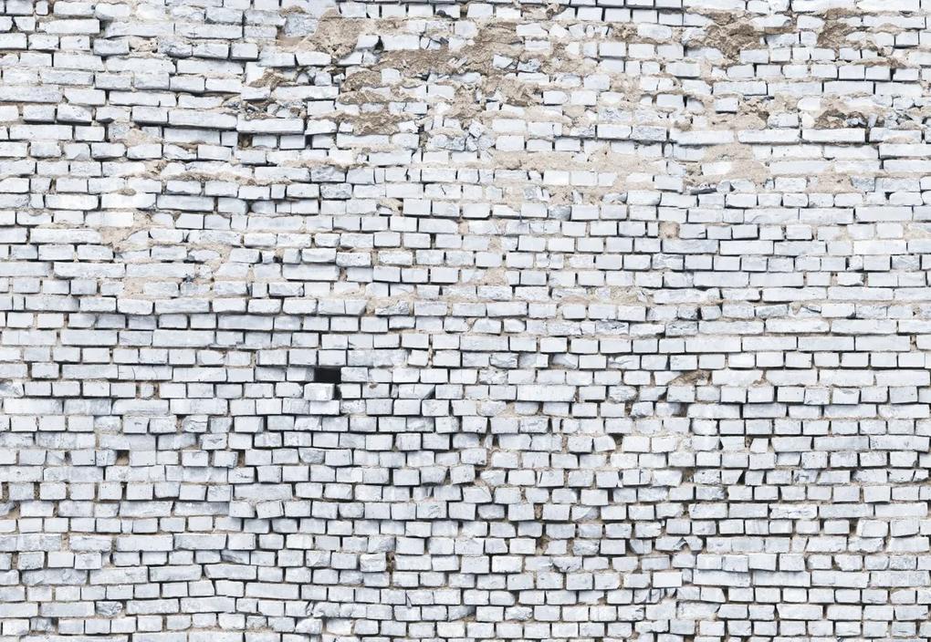 Fototapeta 3D Bílé cihly White Brick 8-881 / Obrazové tapety a fototapety  na zeď Komar (368 x 254 cm) | Biano