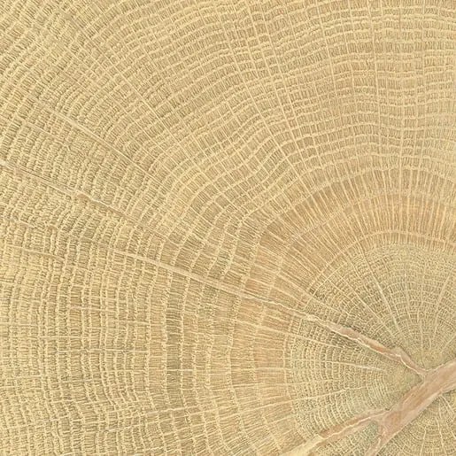 Dlažba Emil W-Circles oak 10x10 cm mat 00ENJD68