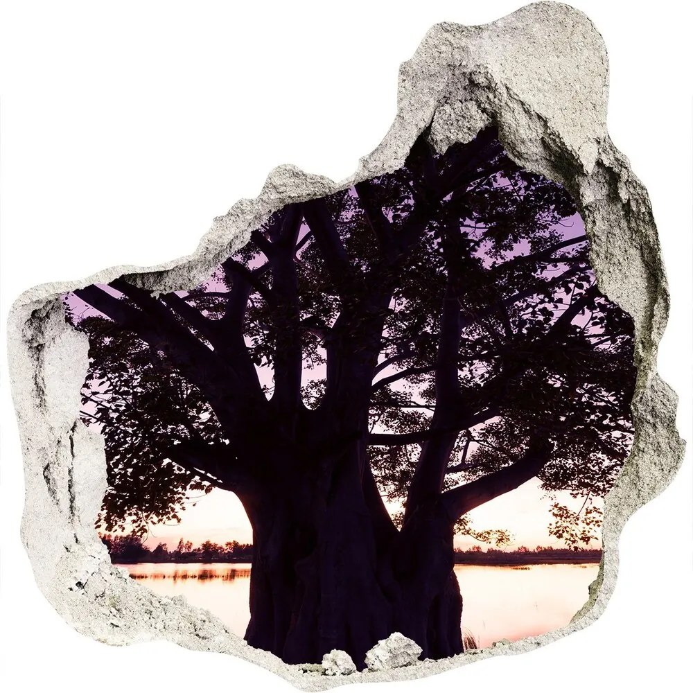Wallmuralia Samolepící díra na stěnu Strom a jezero 75x75 cm