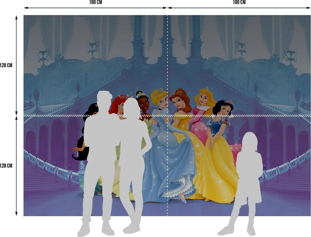Dětská fototapeta na zed' Princezny Všechny Spolu, Disney | 360 x 254 cm | DFTD 0264
