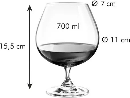 TESCOMA Sklenice na koňak CHARLIE 700 ml