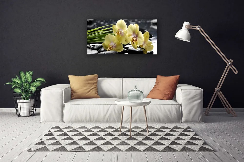 Obraz na plátně Květiny Rostlina Příroda 120x60 cm