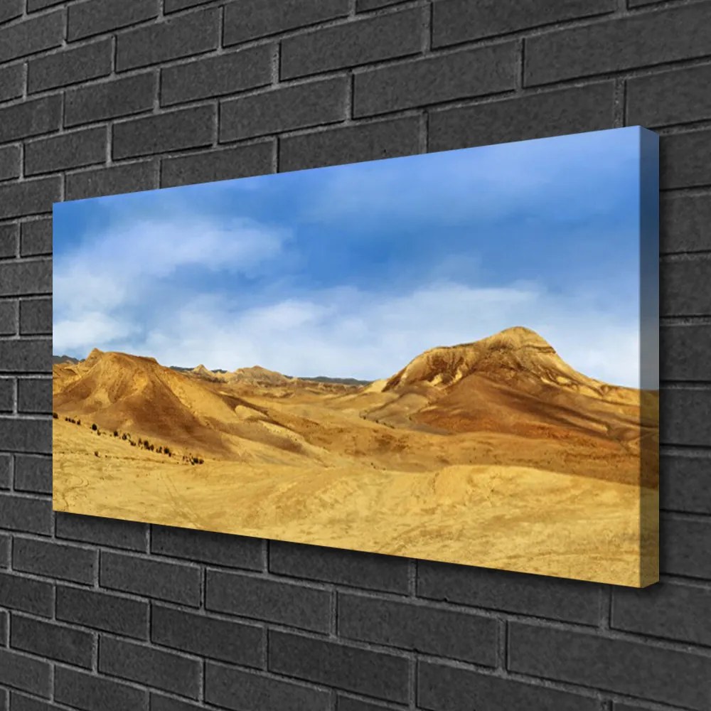 Obraz na plátně Poušť Vrcholky Krajina 120x60 cm