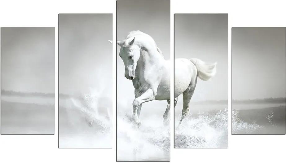 Vícedílný obraz White Horse, 110 x 60 cm