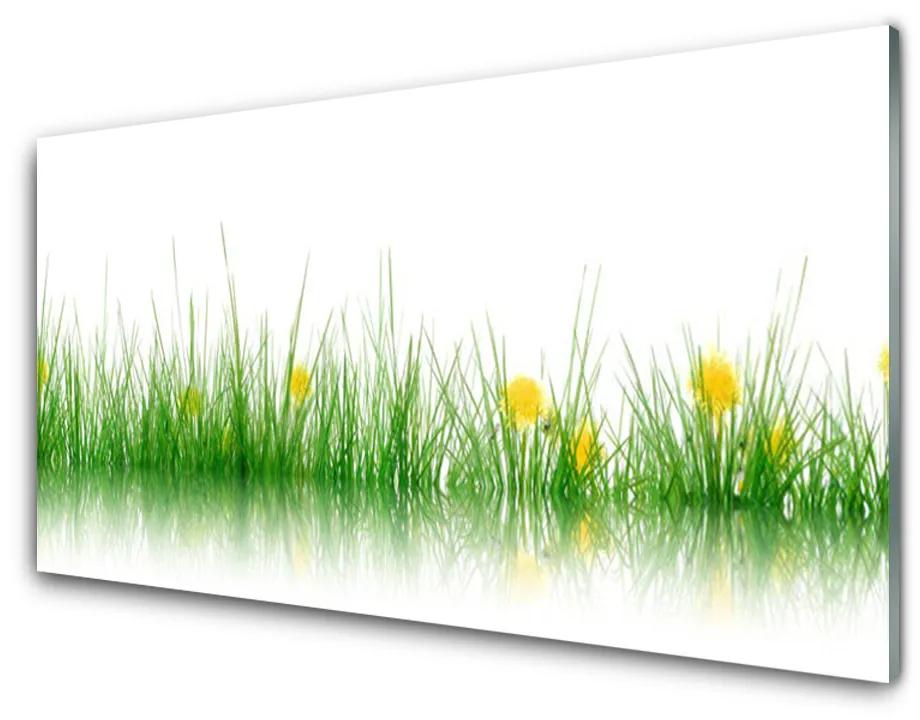 Obraz na skle Příroda Tráva Květiny 100x50 cm
