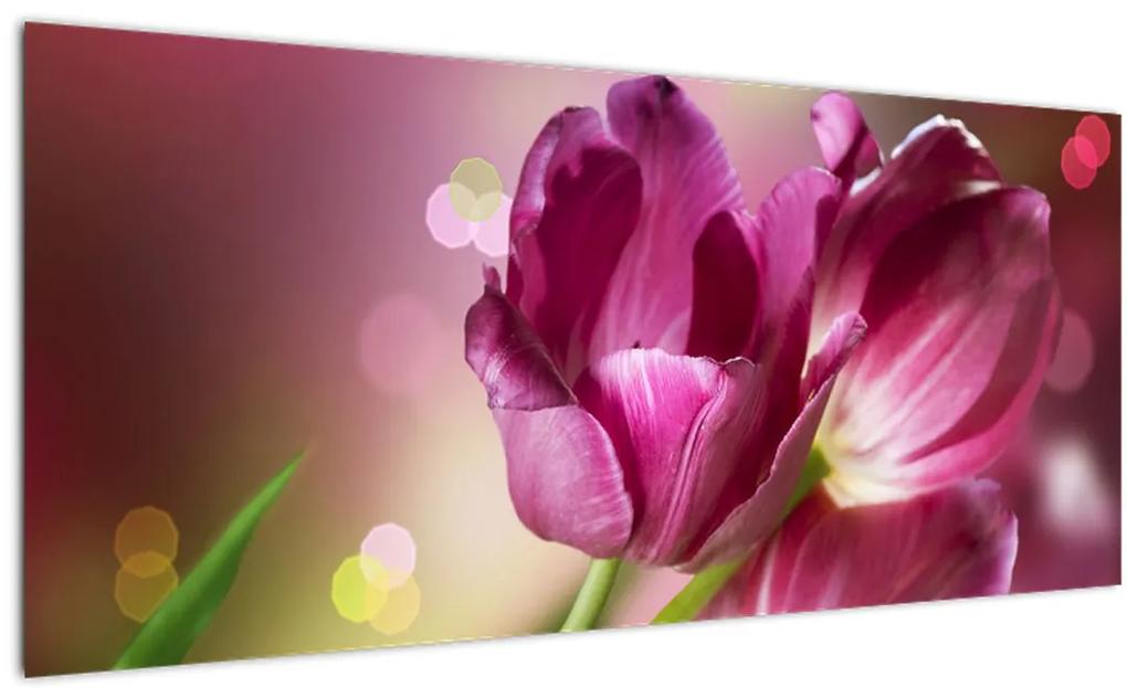 Obraz růžových tulipánů (100x40 cm), 40 dalších rozměrů