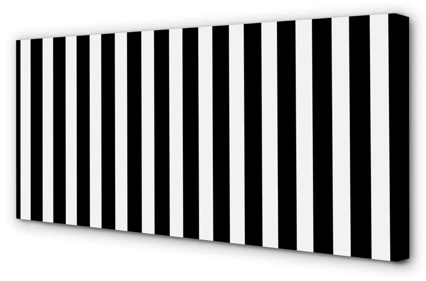 Obrazy na plátně Geometrické zebra pruhy 125x50 cm