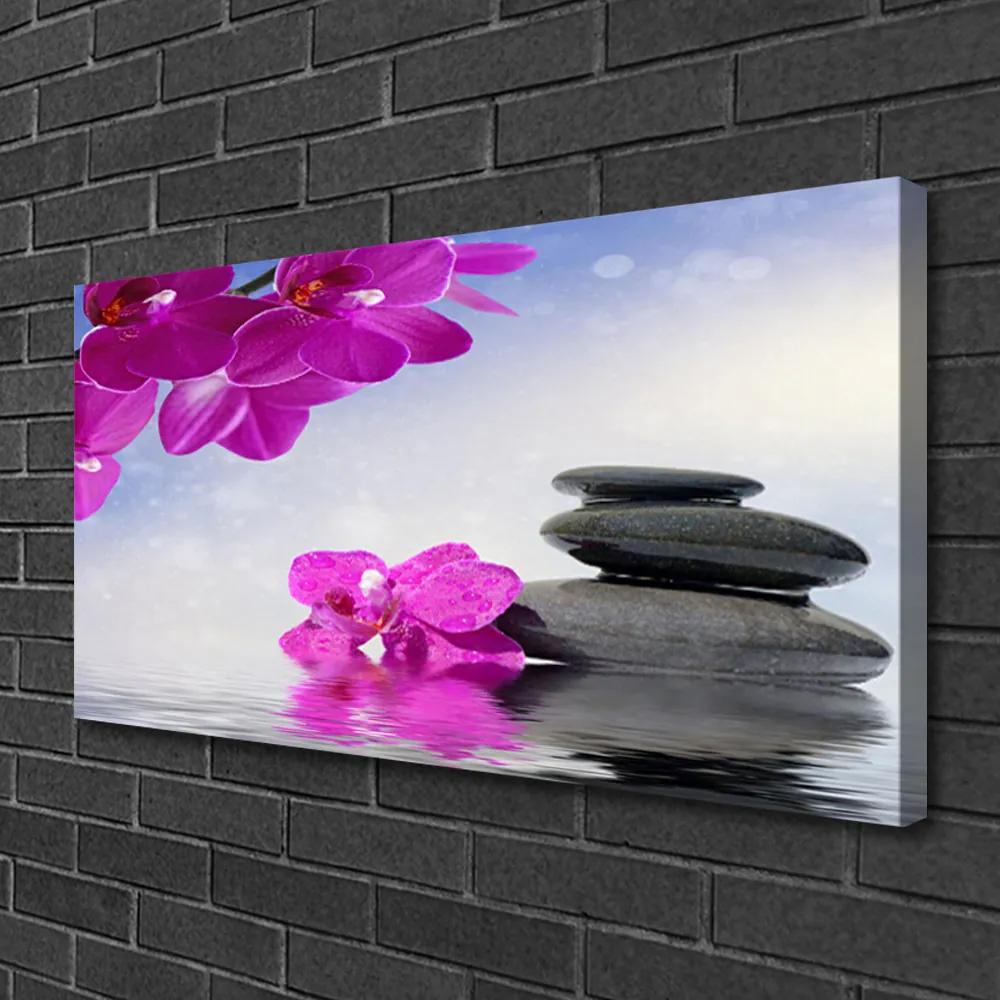 Obraz na plátně Květiny Kameny Rostlina 100x50 cm