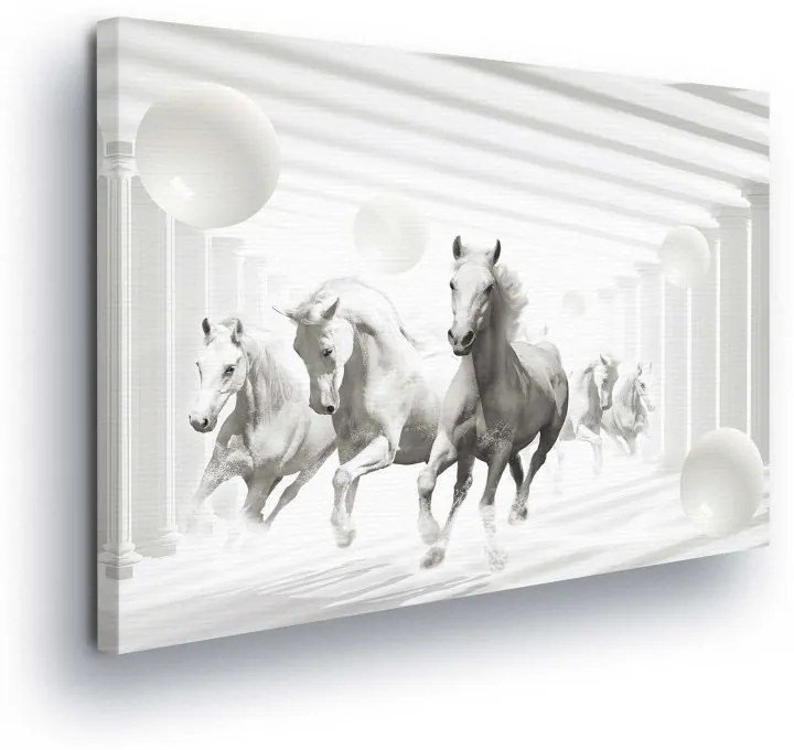 GLIX Obraz na plátně - Koně v Bílém Tunelu II 100x75 cm