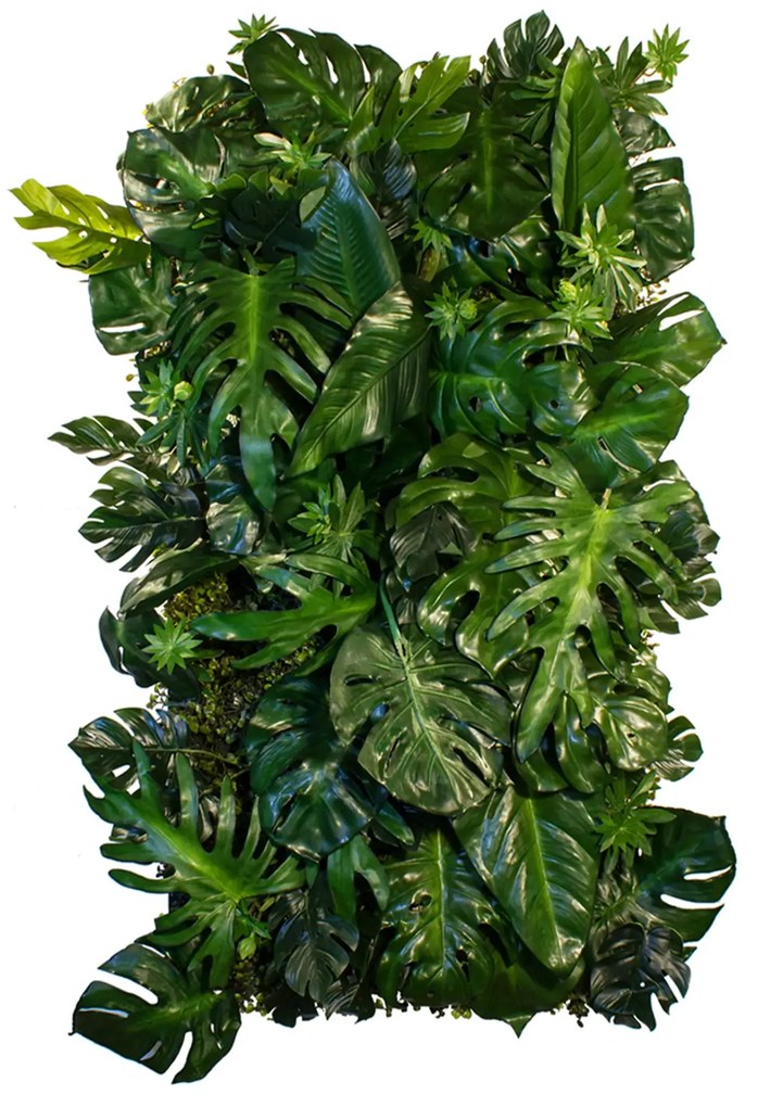 Vertical garden Palm Beach
